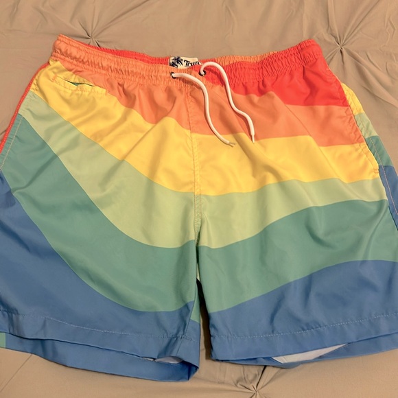 Boardies Apparel | Shorts | Trunks Surf Swim Co Rainbow Stripe Swim ...